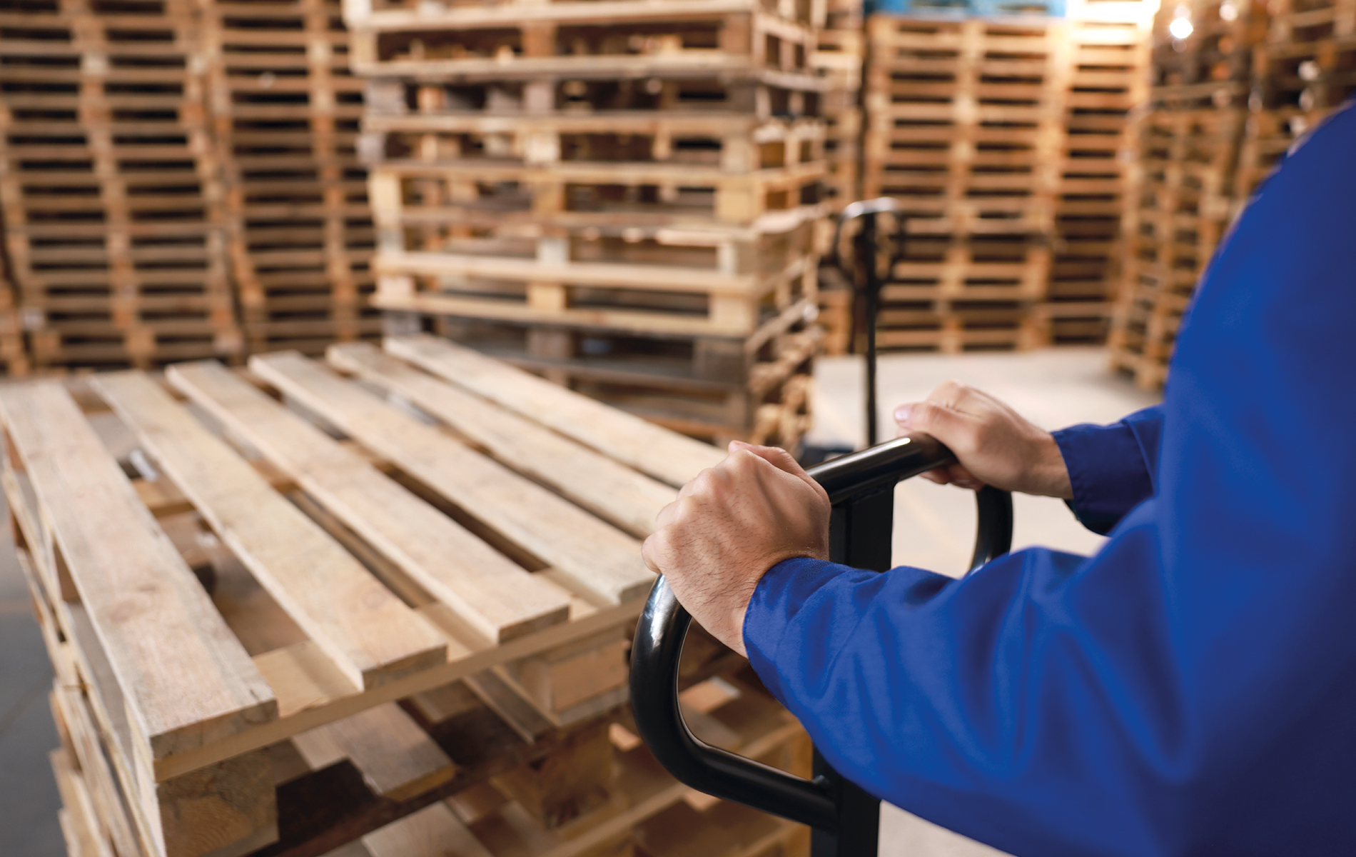 Pallet Count and Inspection Audit | RGIS